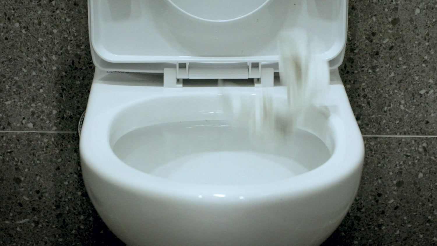 How to Use the Potty Pad – DOGTOC Thailand