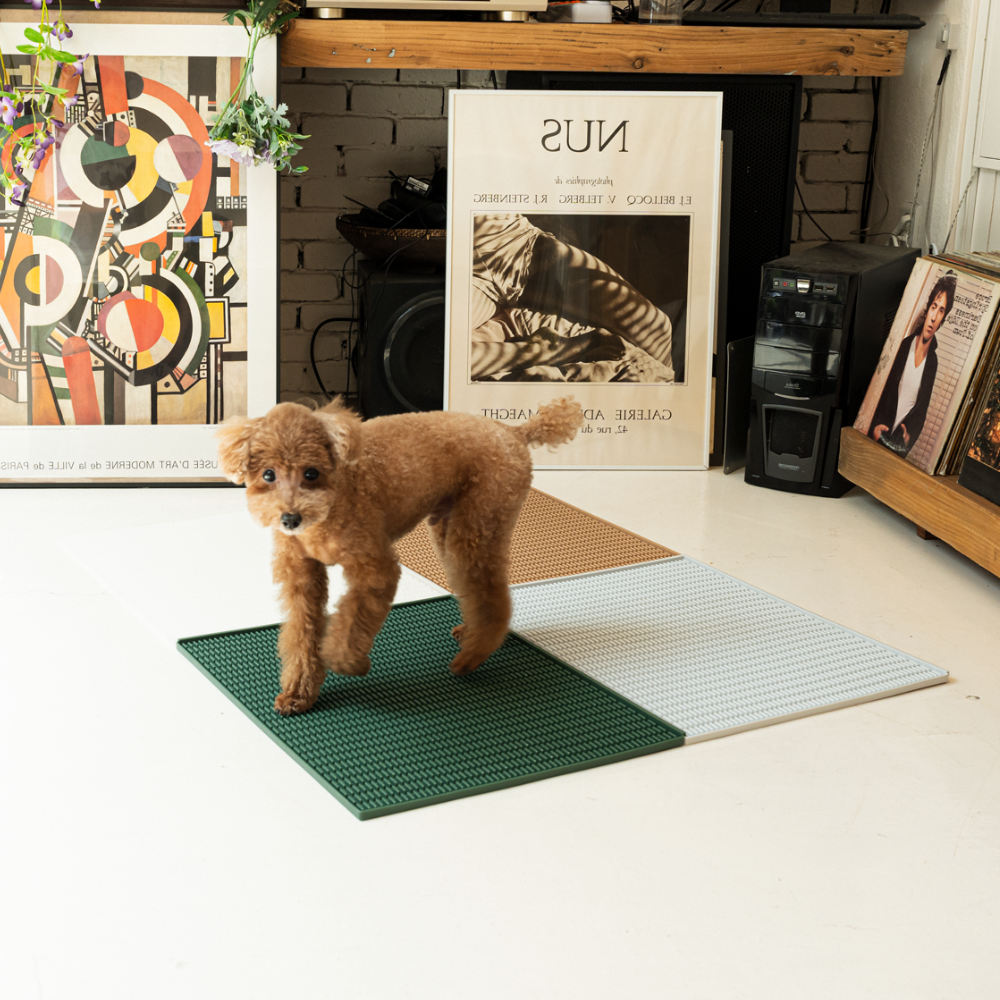 Potty Mat – DOGTOC Thailand